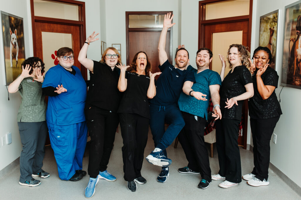 Our Team – Five Forks Animal Clinic